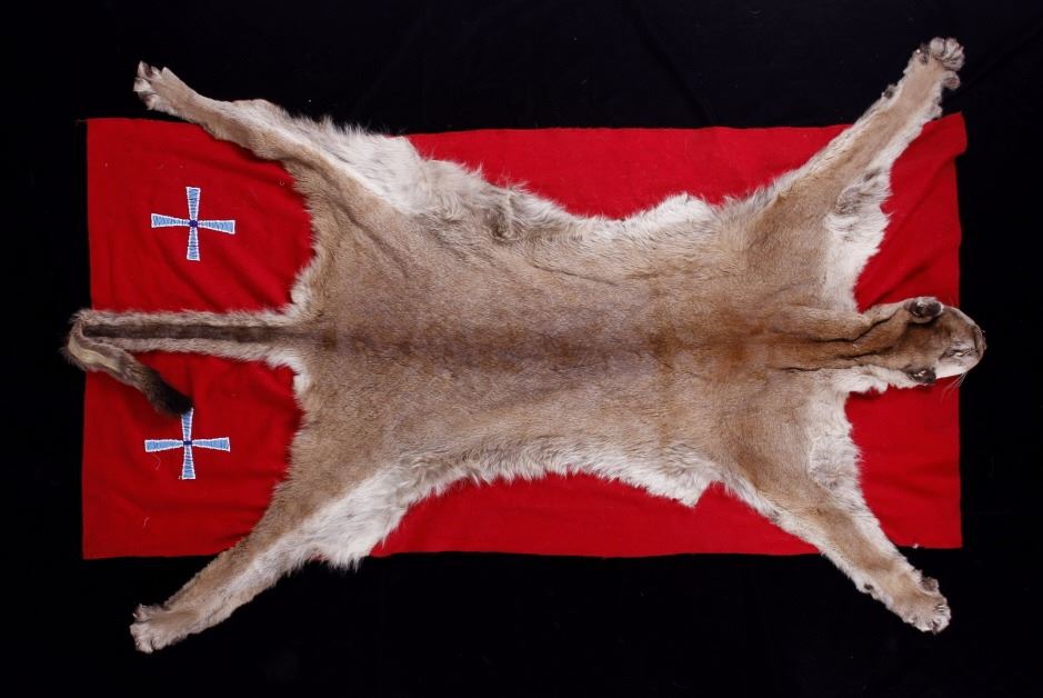 Native American Indian Mountain Lion Hide Cape