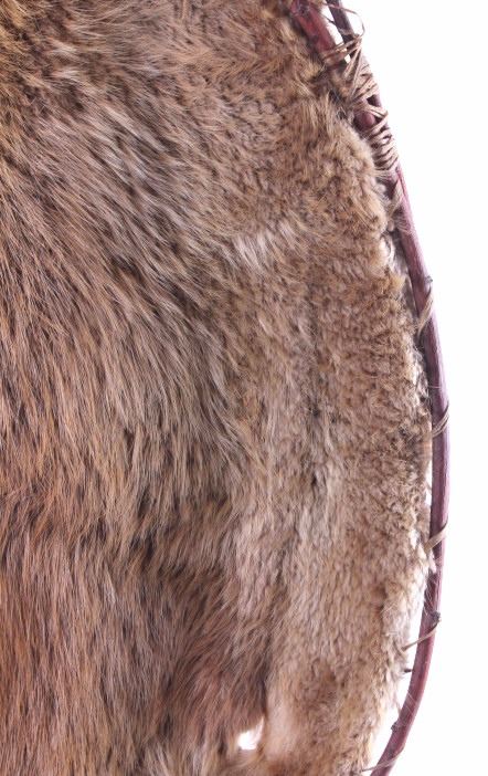 Montana Tanned Beaver Hide on Willow Branch Hoop