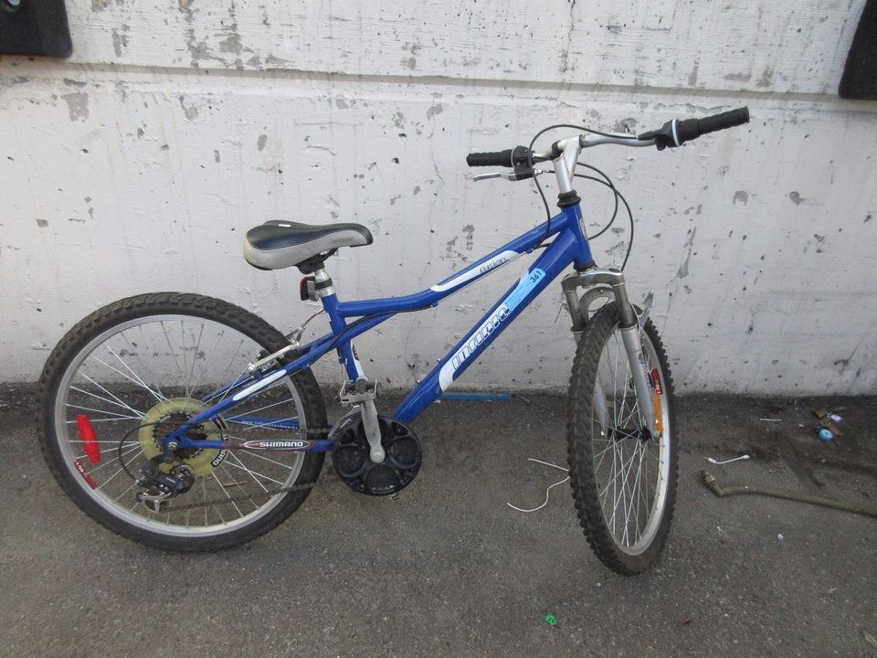 21 Speed Infinity Mountain Bike