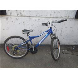 21 Speed Infinity Mountain Bike