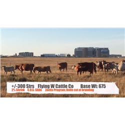 Flying W Cattle Co. - Longview, AB +/- Steers