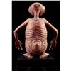 E.T. THE EXTRA TERRESTRIAL (1982) - ILM 20th Anniversary E.T. Crew Gift ...
