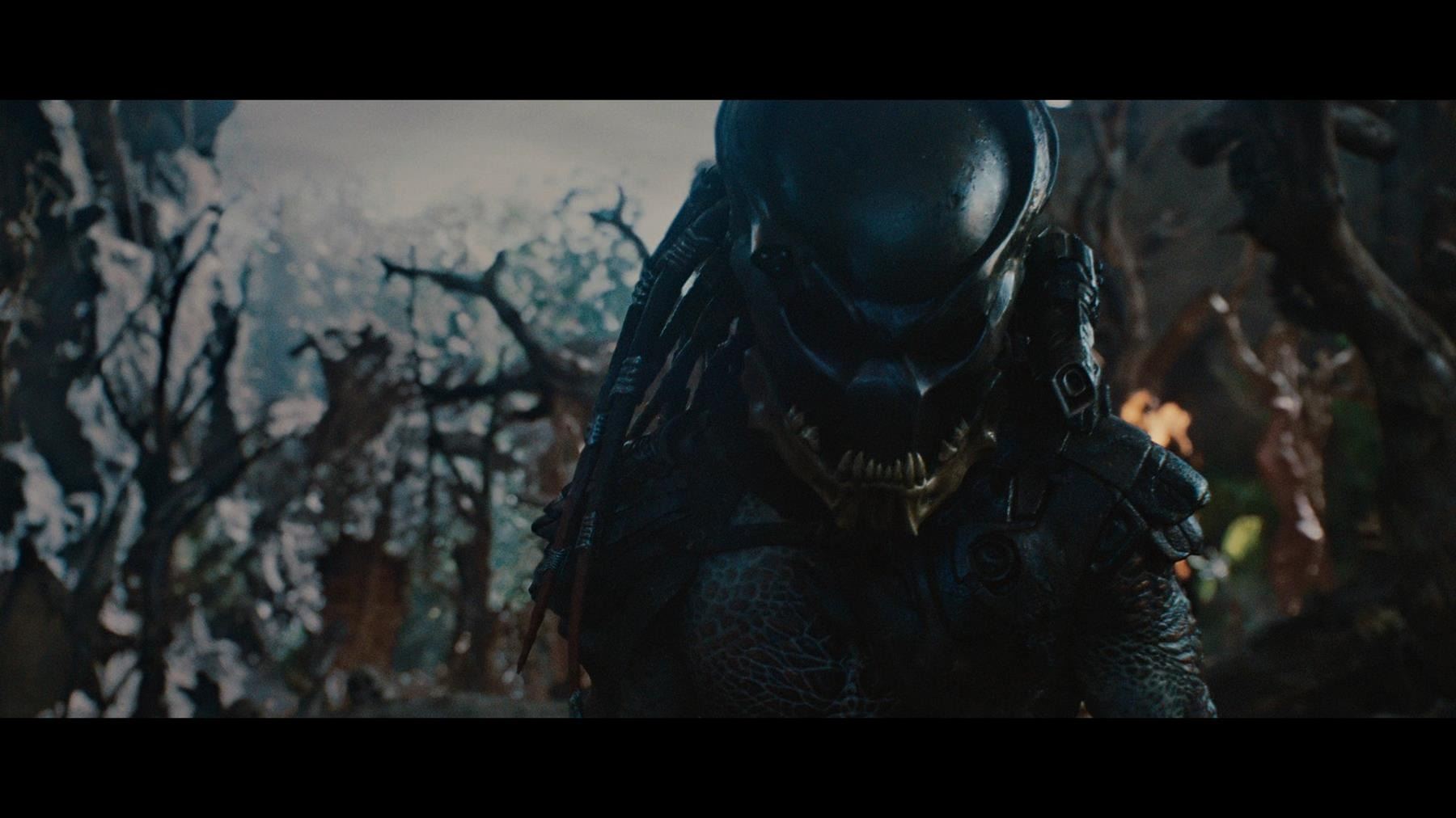 PREDATORS (2010) - Mr. Black / Berserker (Bryan Steele) Predator ...