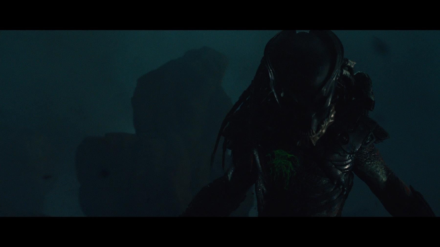 PREDATORS (2010) - Mr. Black / Berserker (Bryan Steele) Predator ...