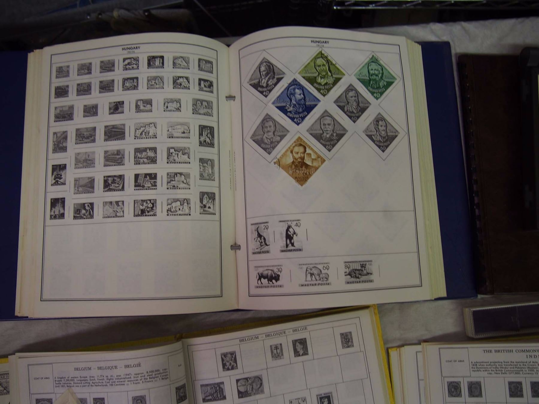 Lot Of Stamp Related (Partial Stamp Albums, Stamp Necklace, Stamp ...