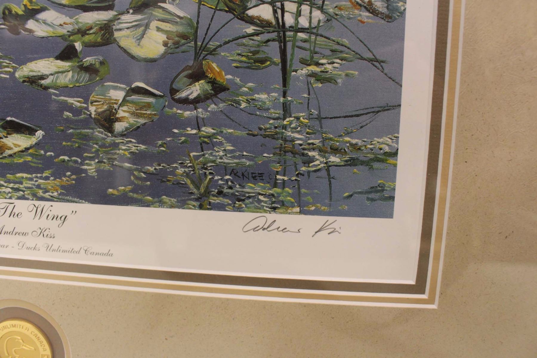 Ducks Unlimited Print "On The Wing" (By Andrew Kiss)(38"x27")