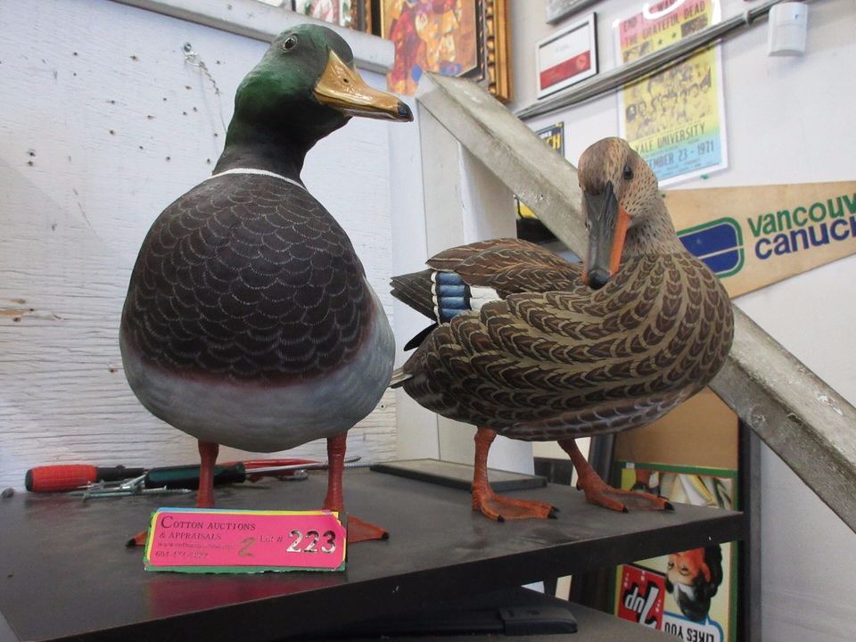 Pair of Hadley Collection Duck Models