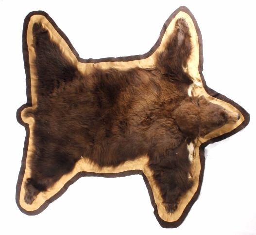 Montana Black Bear Taxidermy Rug Mount