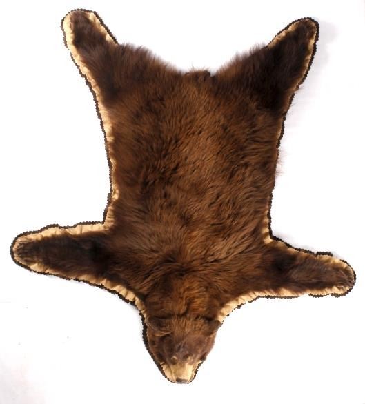 Montana Black Bear Taxidermy Rug Mount