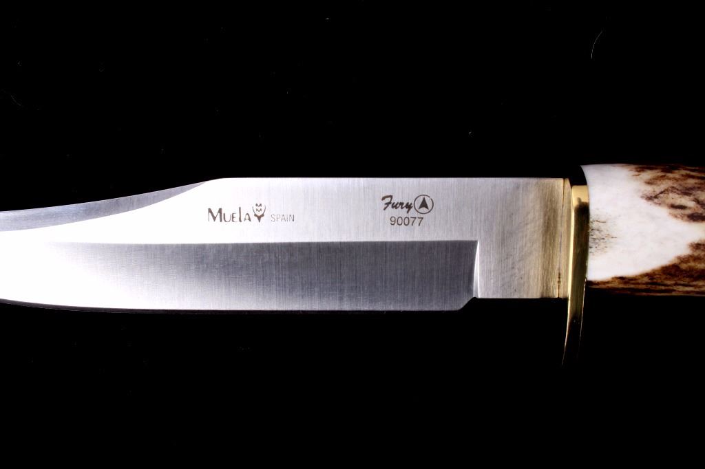 Muela Fury 90077 Stage Antler Handle Knife