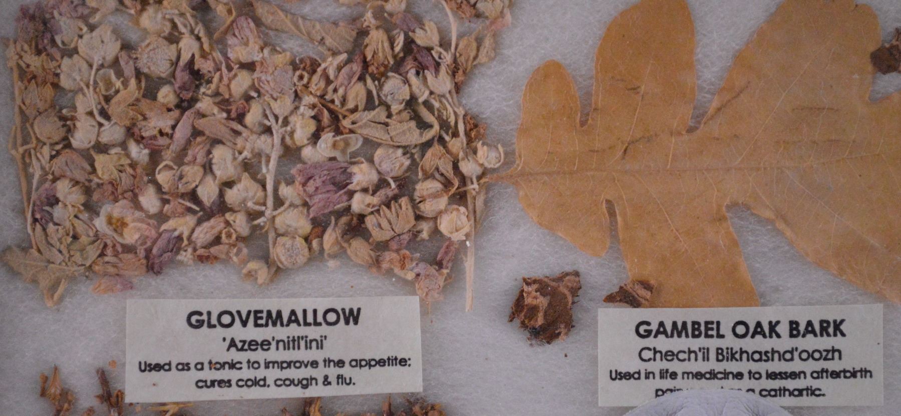 NAVAJO MEDICINE CHART BY ARLETTA HENDERSON