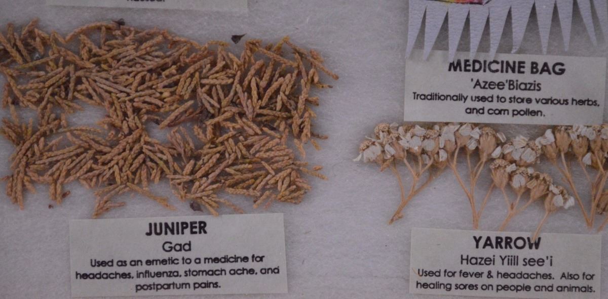 NAVAJO MEDICINE CHART BY ARLETTA HENDERSON