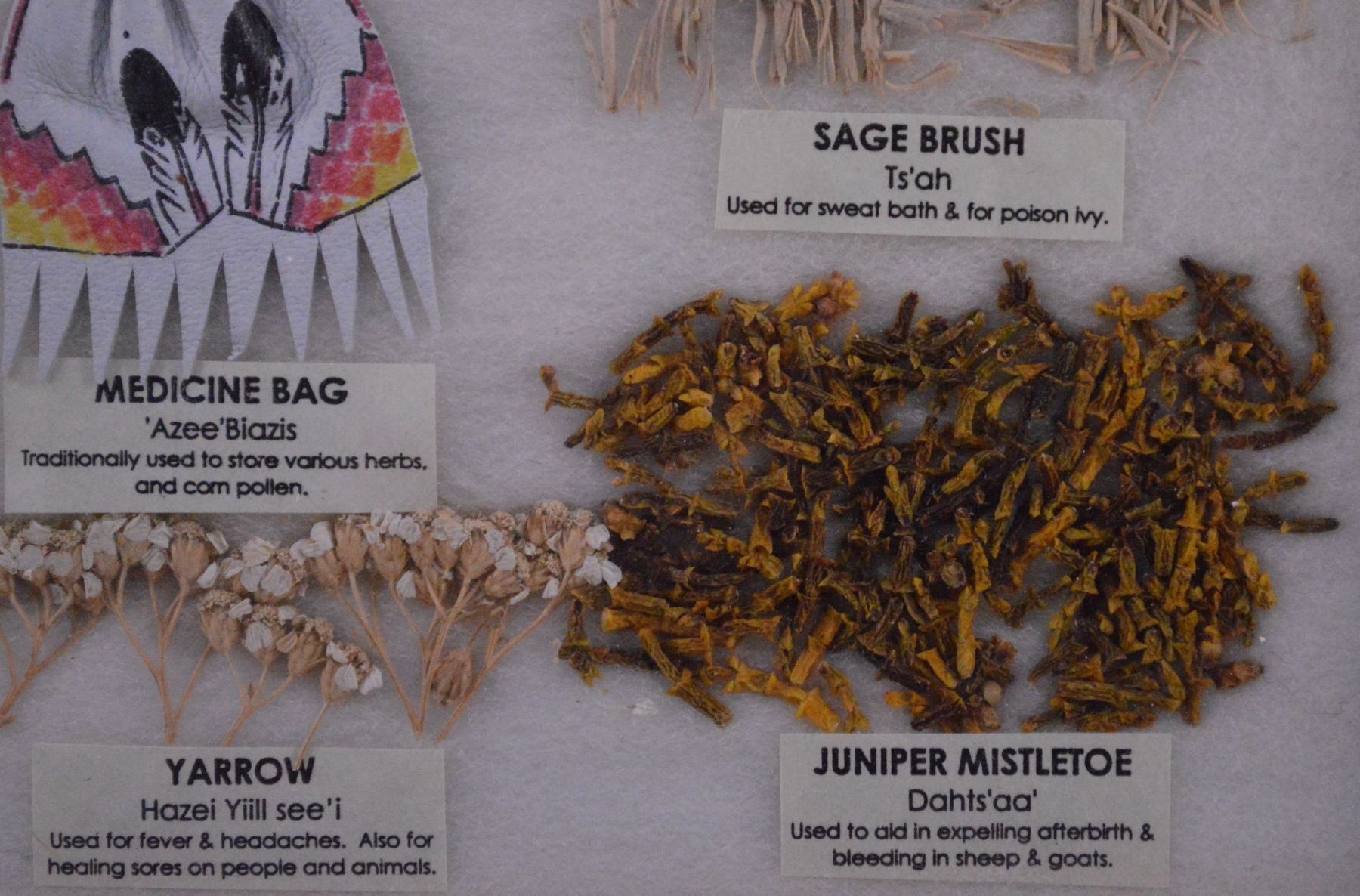 NAVAJO MEDICINE CHART BY ARLETTA HENDERSON