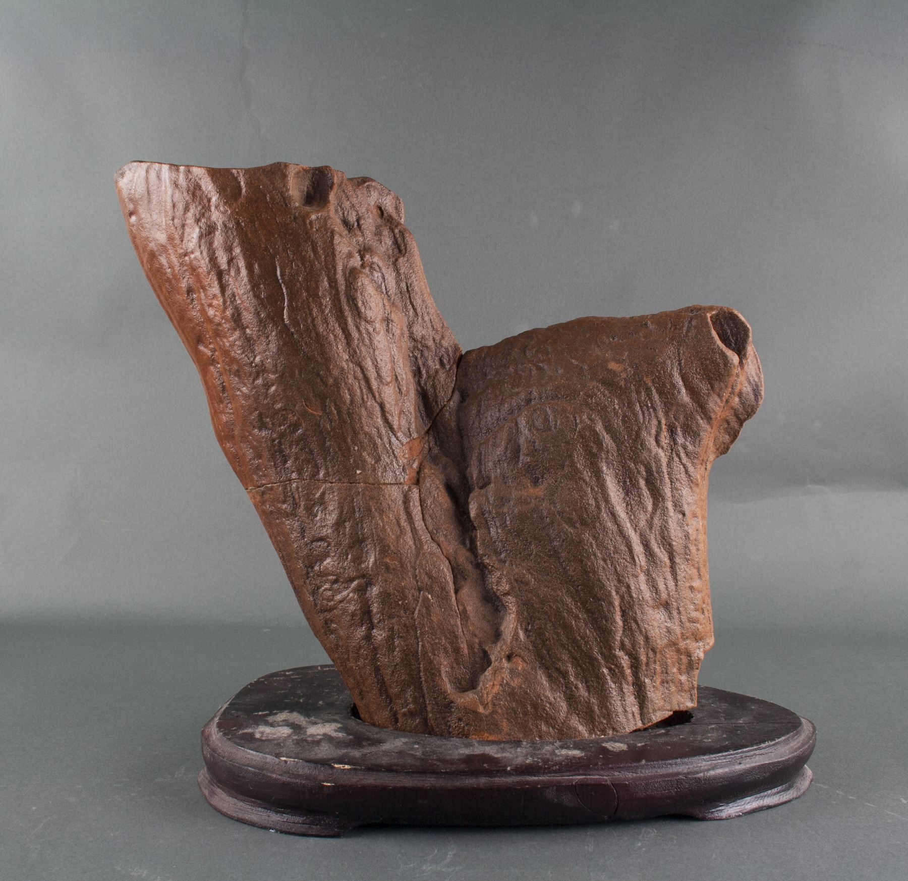 Chinese Fossil Scholar Stone with Wood Stand