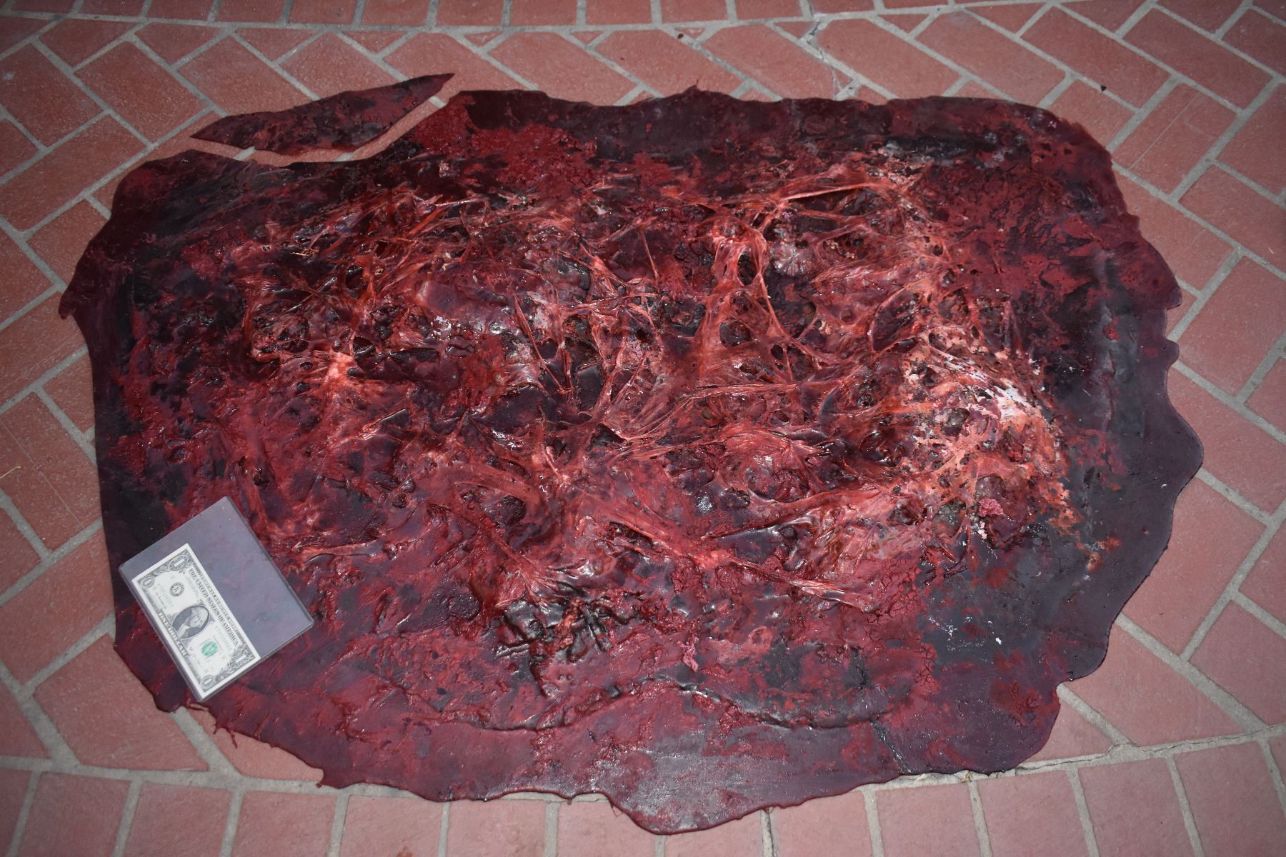 TRUE BLOOD DEAD VAMPIRE GORE & GUTS SPLATTER SCREEN MATCHED 1