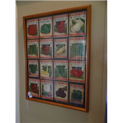 Garden seed packets framed display