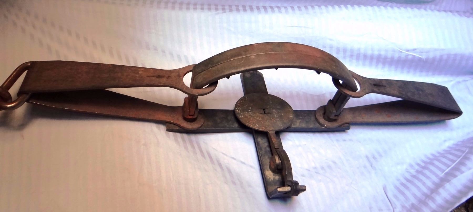 Hudson Bay Kodiak bear trap w/ clamp