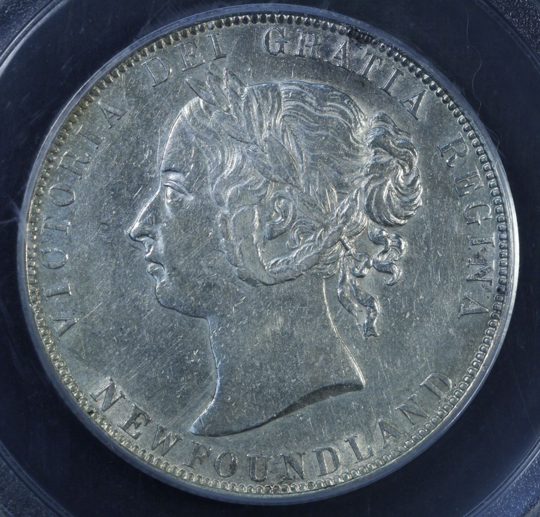 1900 Newfoundland Fifty Cents 1900 Newfoundland Fifty Cents