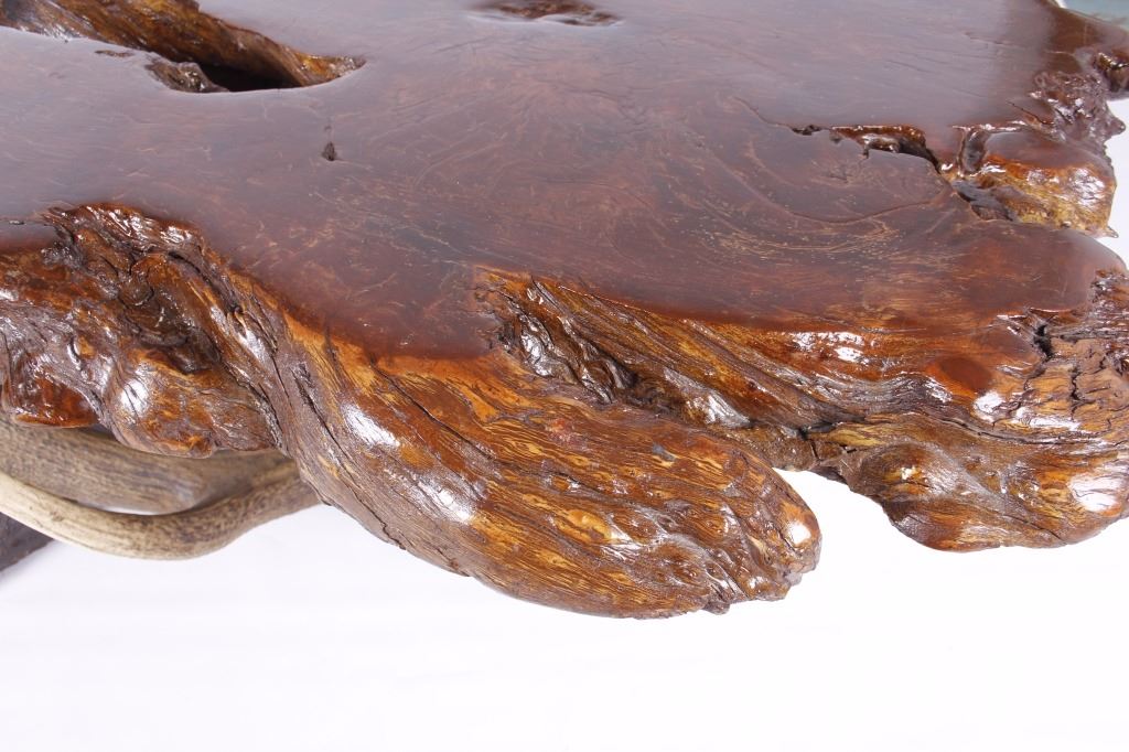 Live Edge Juniper Burl Slab & Antler Coffee Table