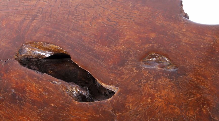 Live Edge Juniper Burl Slab & Antler Coffee Table