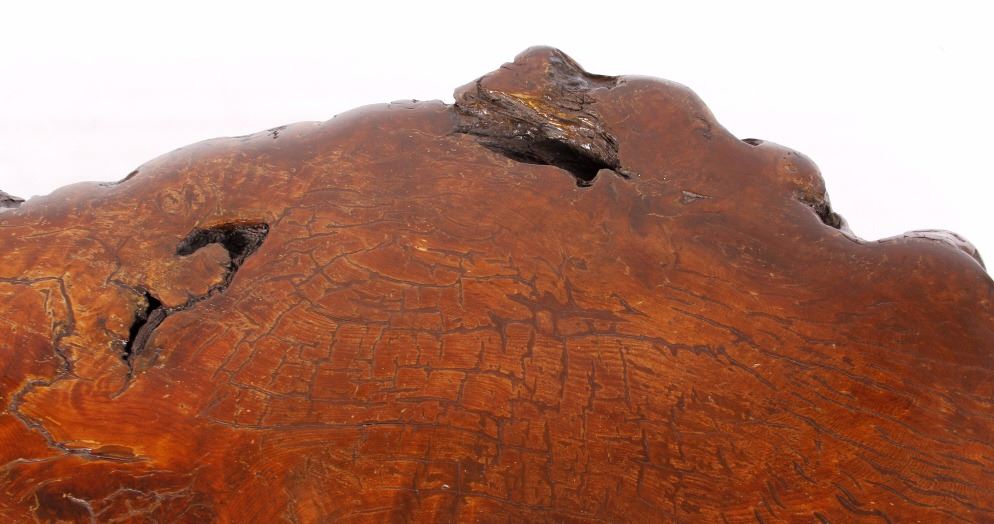 Live Edge Juniper Burl Slab & Antler Coffee Table