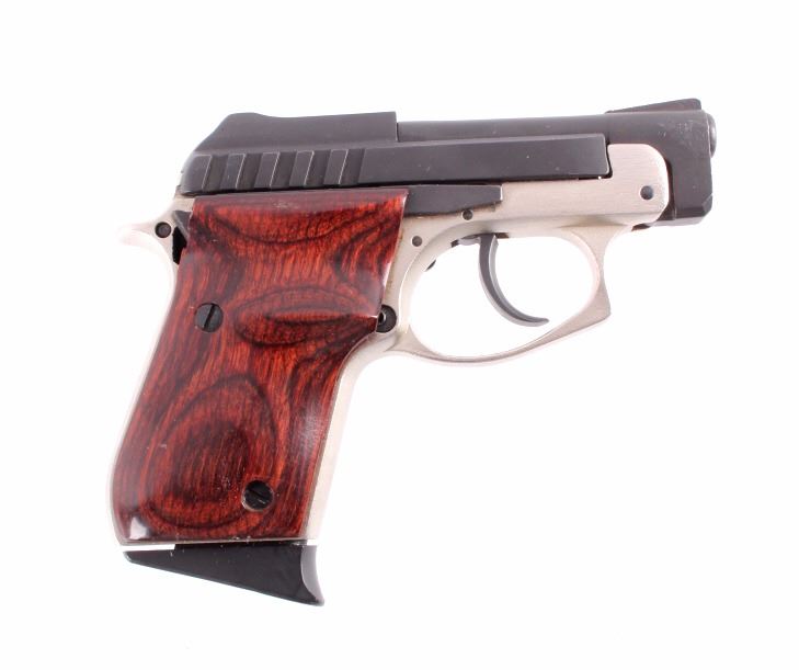 Taurus PT-25 .25 Semi-Automatic Pistol