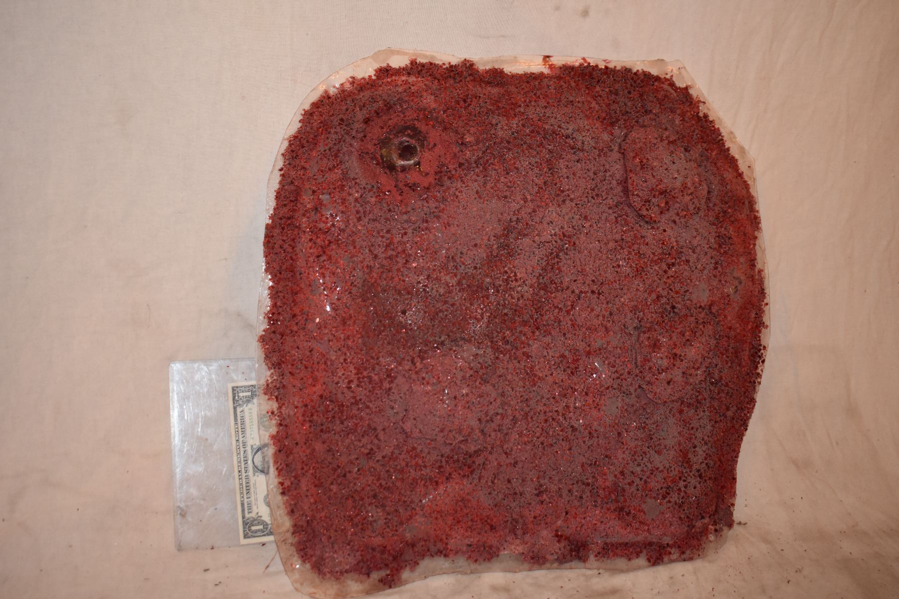 TRUE BLOOD DEAD VAMPIRE GORE & GUTS SPLATTER 6