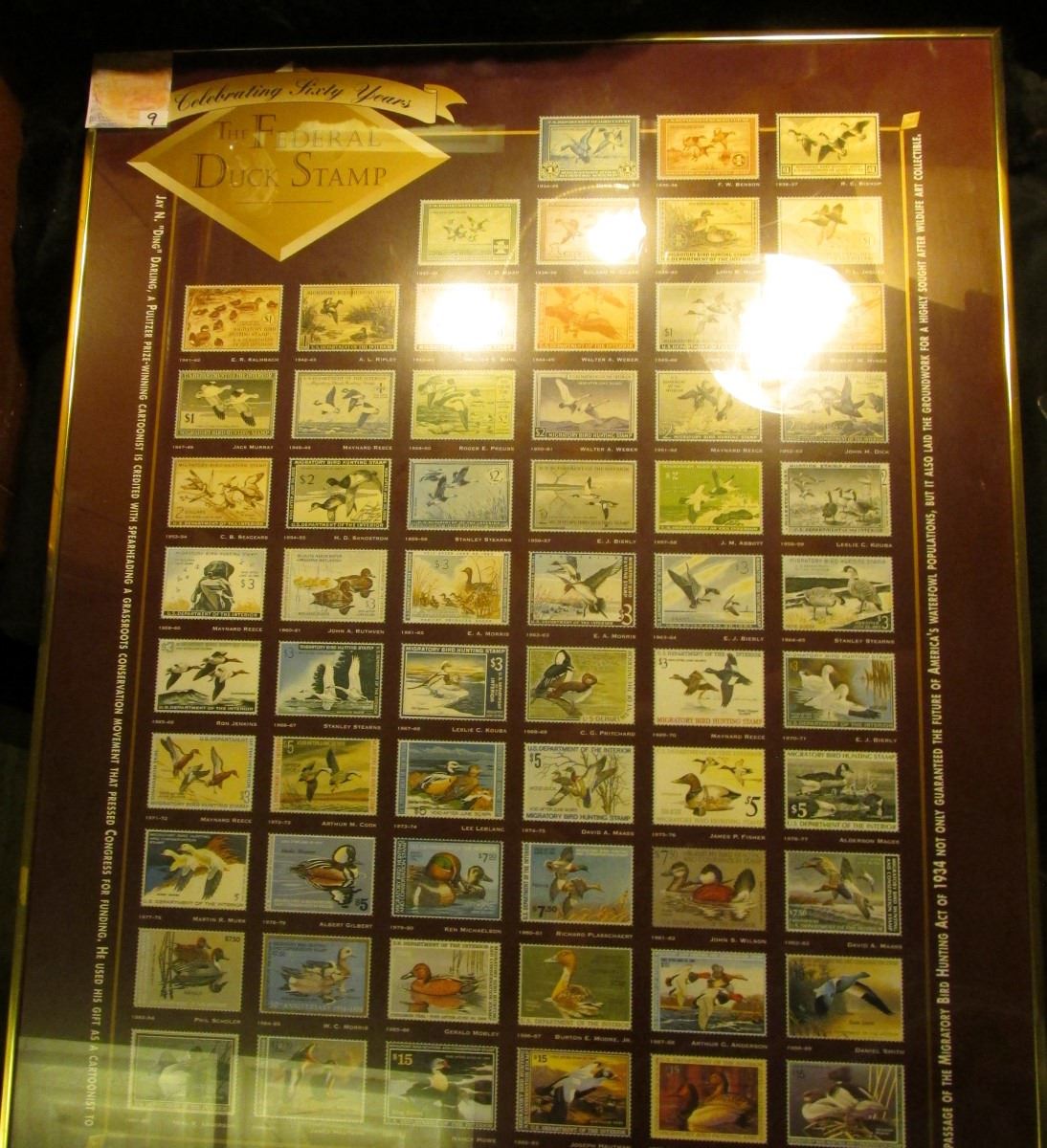22" x 28" Glass Framed Print "Celebrating Sixty Years The Federal Duck ...