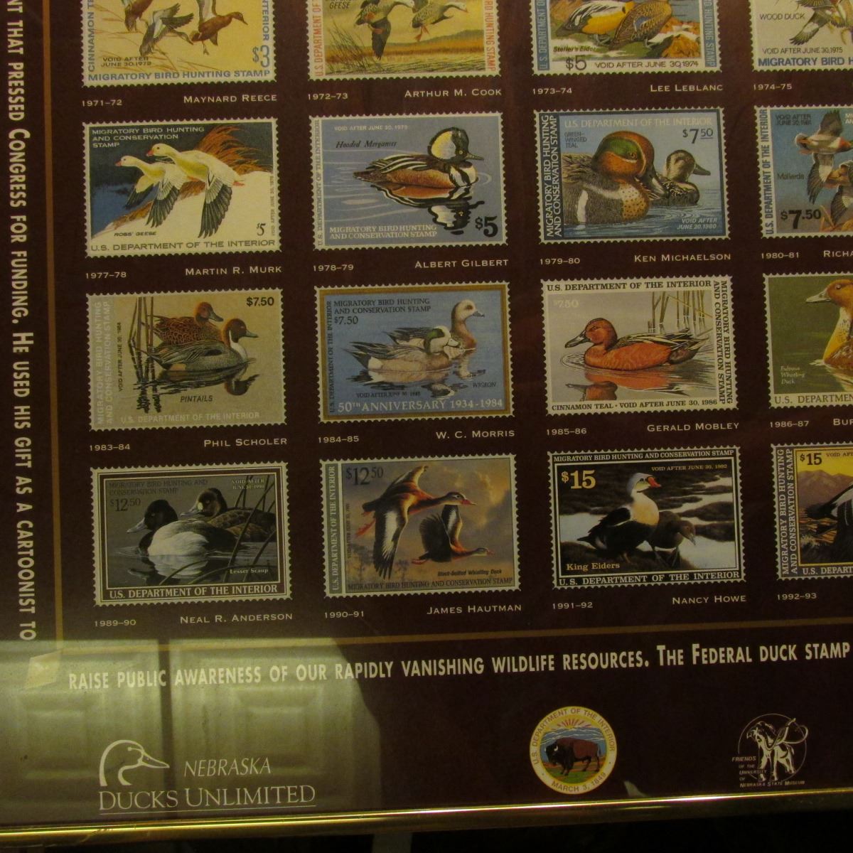 22" x 28" Glass Framed Print "Celebrating Sixty Years The Federal Duck ...