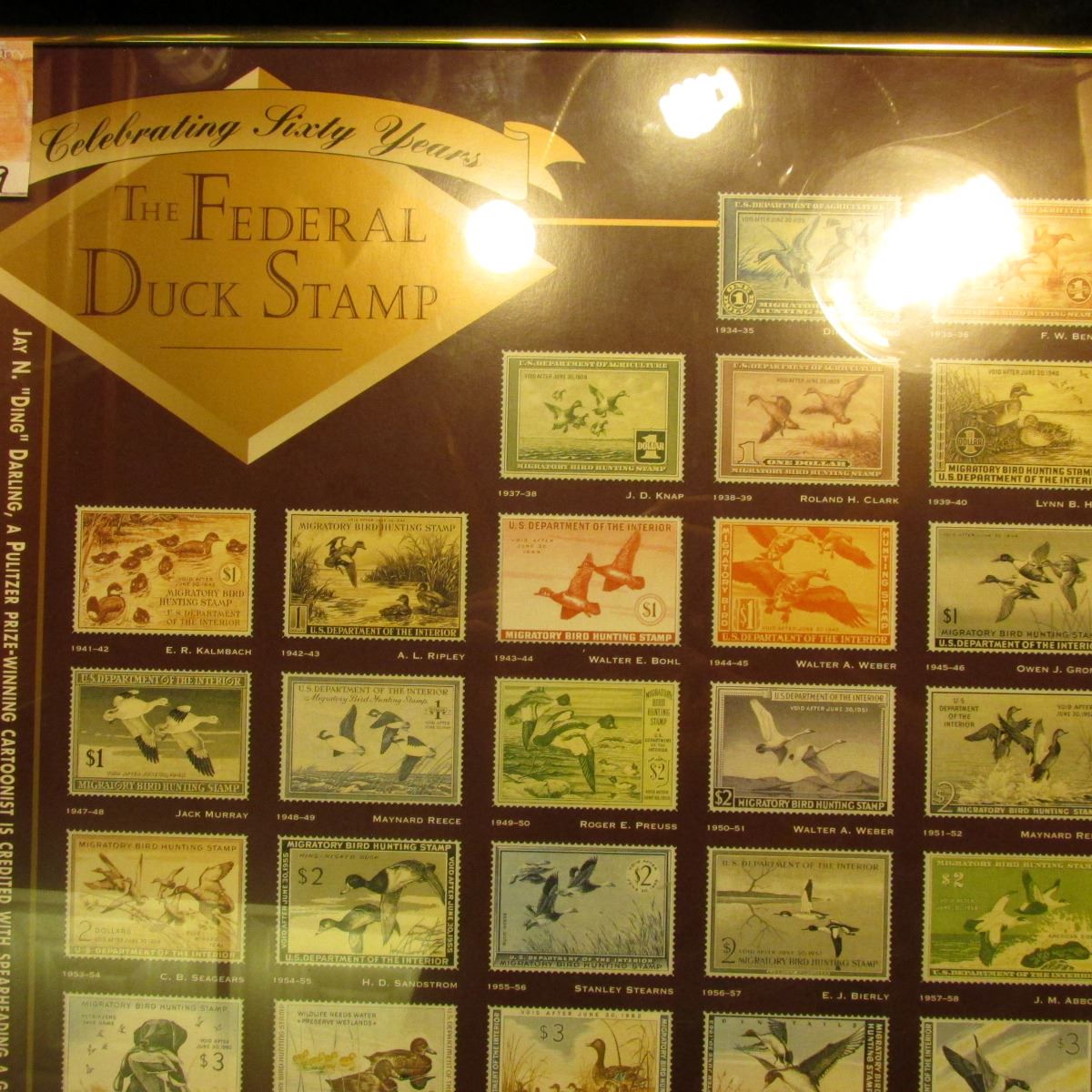 22" x 28" Glass Framed Print "Celebrating Sixty Years The Federal Duck ...