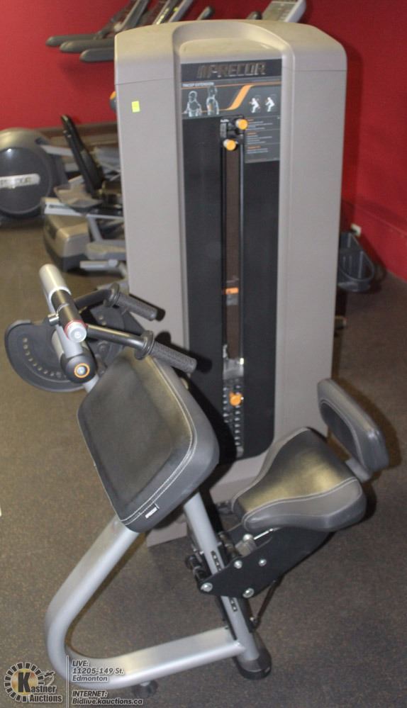 PRECOR TRICEP EXTENSION 160 LBS INTERNAL WEIGHT