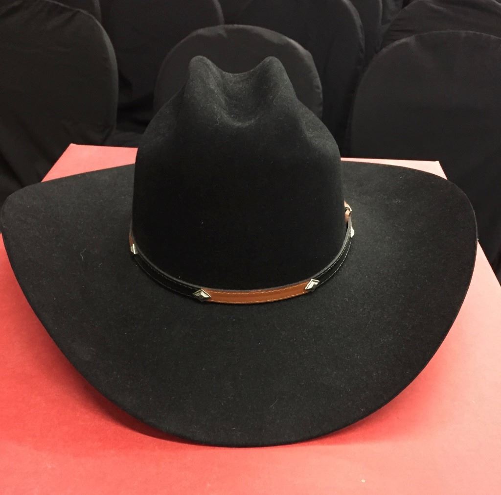 2 Stetson Hats With Original Boxes