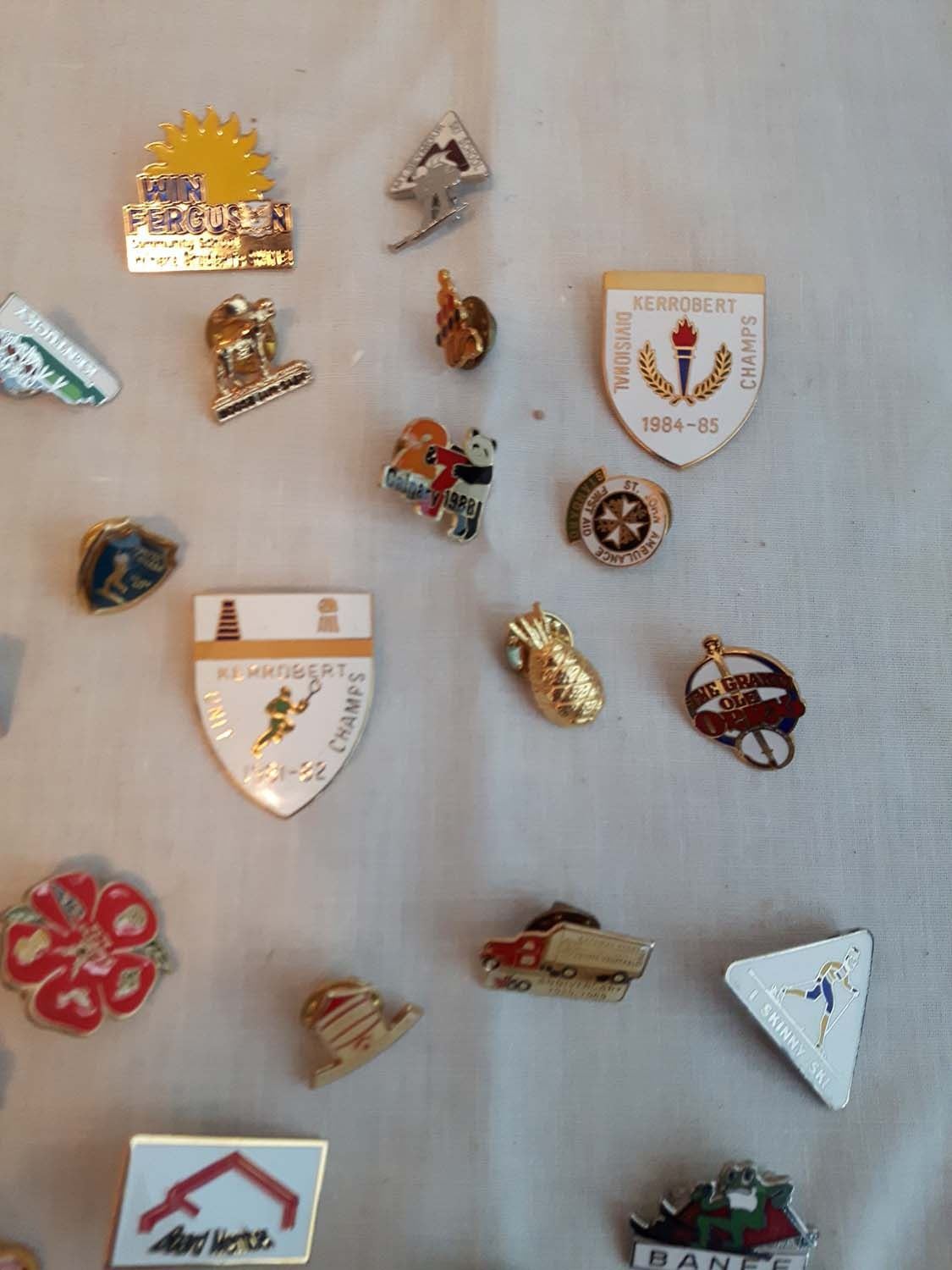 100+ Collectors Pins