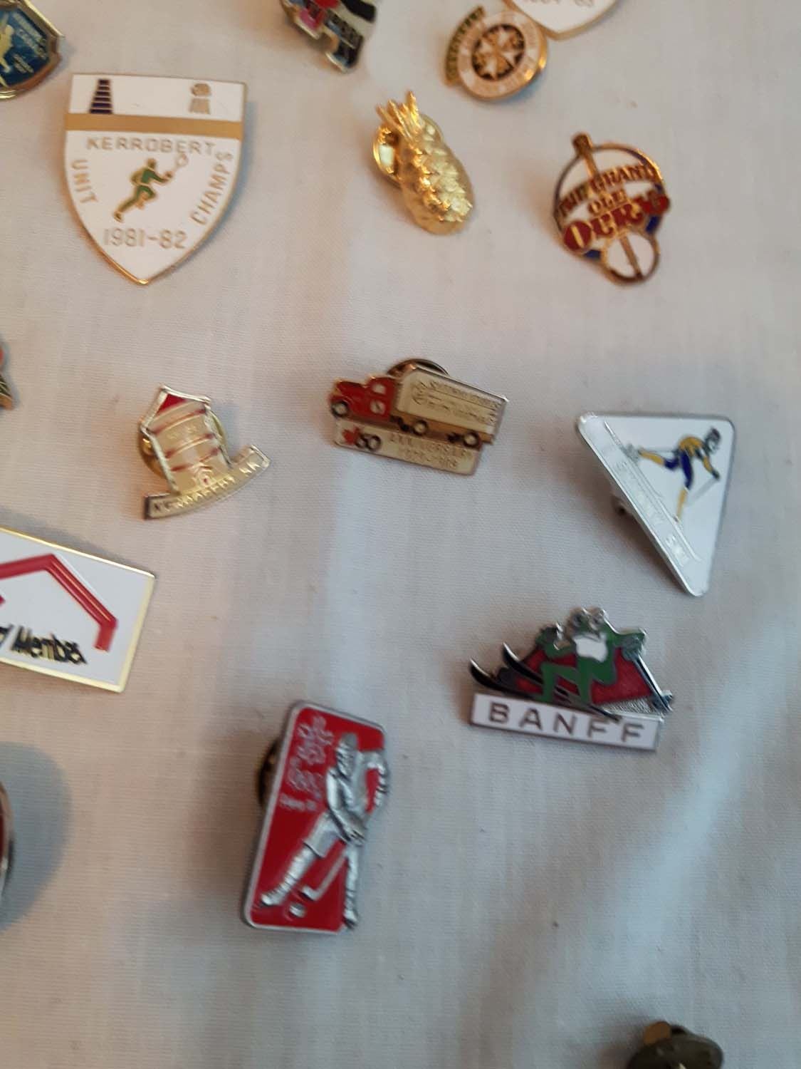 100+ Collectors Pins