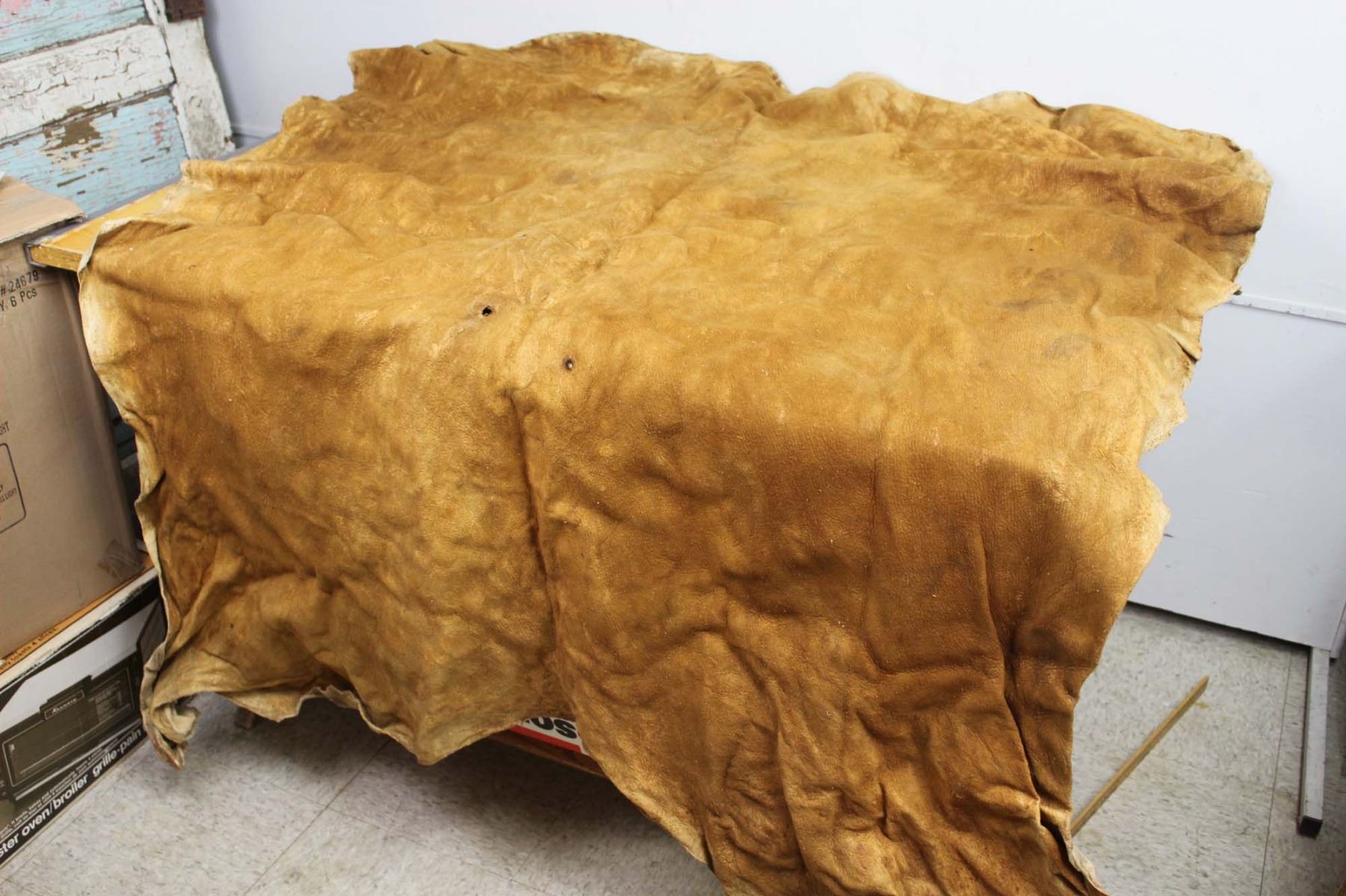 Traditional Vintage Tanned Moose Hide Approx 60" x 50" Circa. 1960 ...