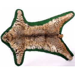 Montana Taxidermy Bobcat Rug