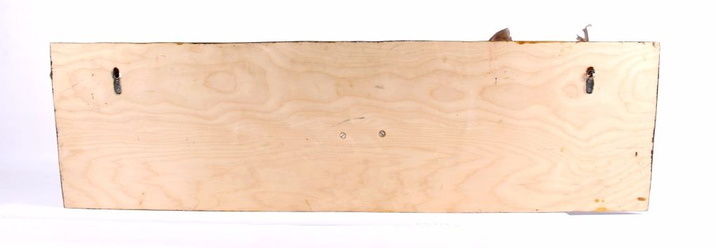 Paddlefish/ Spoonbill Catfish Taxidermy Mount