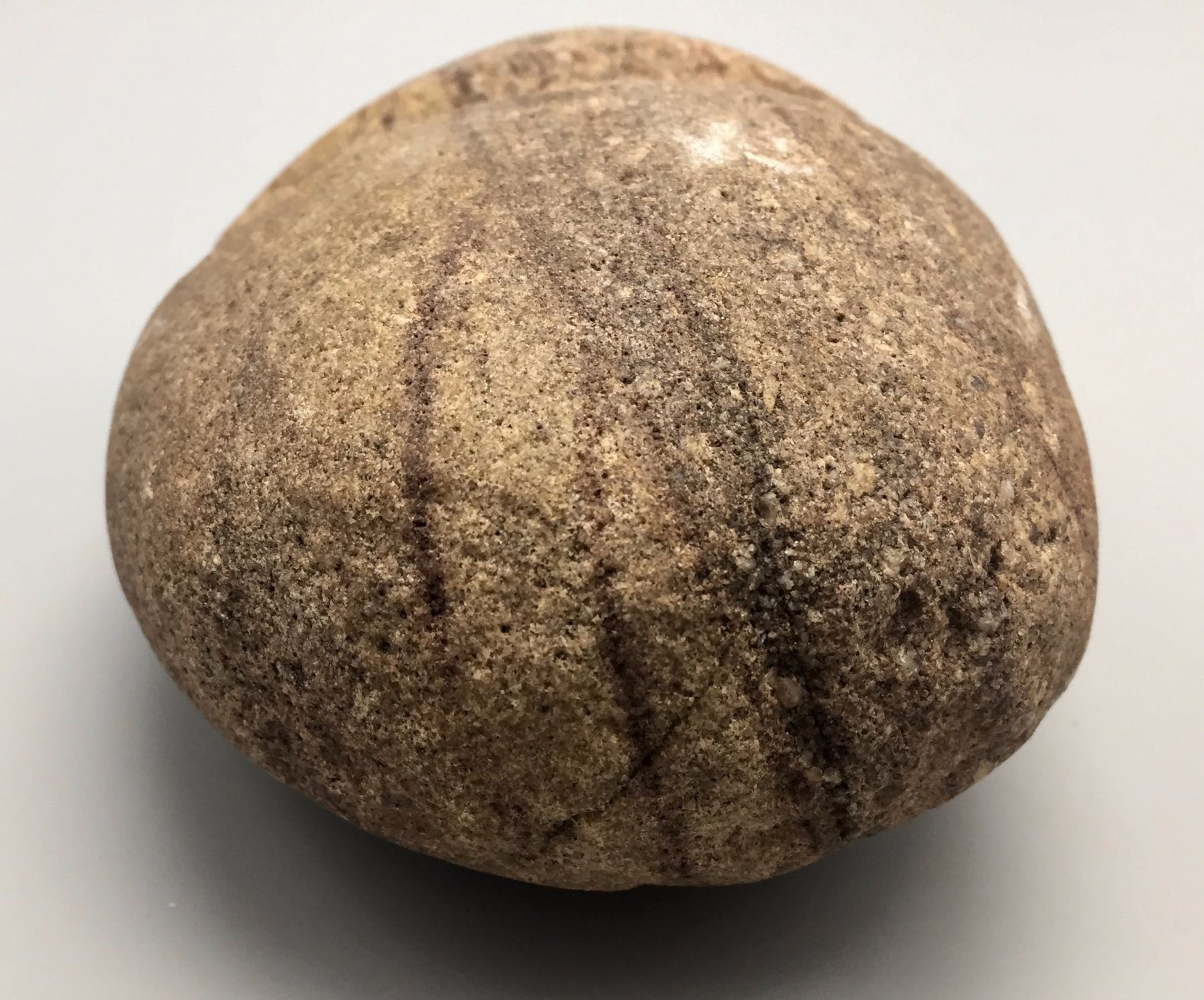 Prehistoric Stone Hammer - Maul