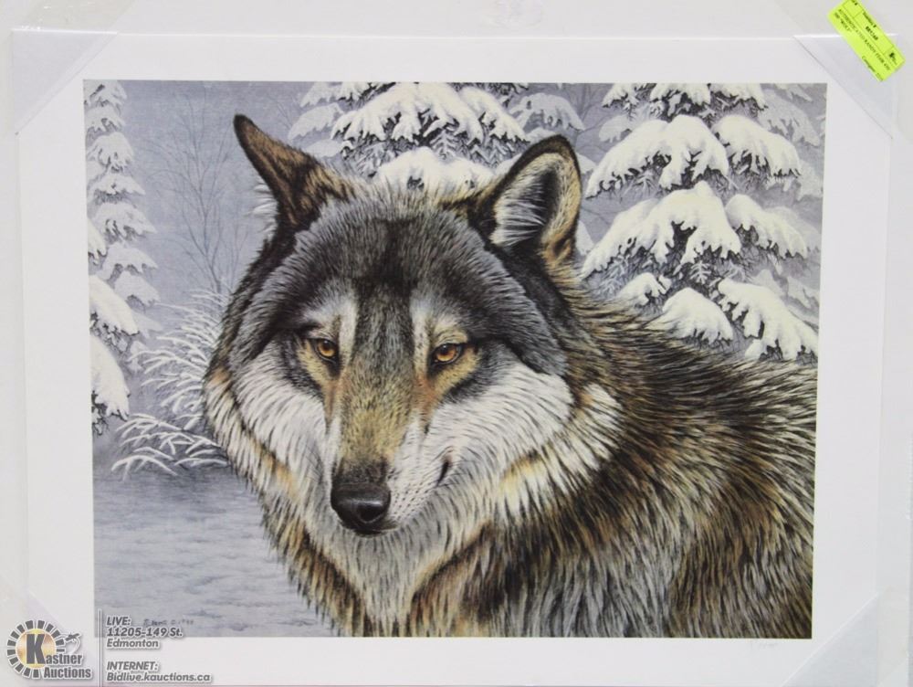 RANDY FEHR 430/ 500 "WOLF" PRINT 20X26