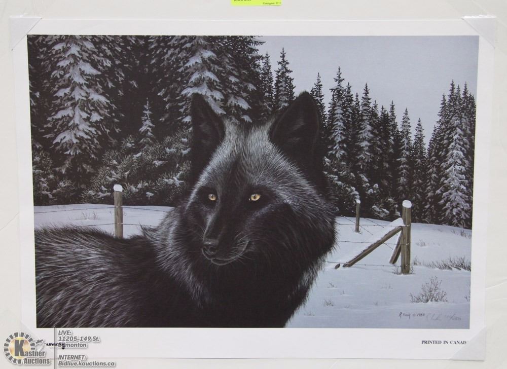SIGNED RANDY FEHR 170/250 "BLACK WOLF" 18X24 PRINT
