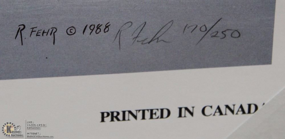 SIGNED RANDY FEHR 170/250 "BLACK WOLF" 18X24 PRINT