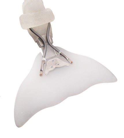 Dolphin Tale 2 Winter's Hero Prosthetic Dolphin Tale Movie Props