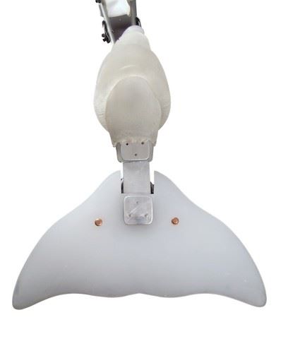 Dolphin Tale 2 Winter's Hero Prosthetic Dolphin Tale Movie Props