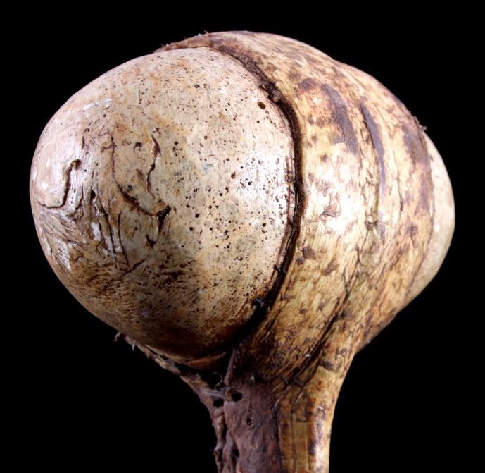 Northern Plains Indian Stone War Club