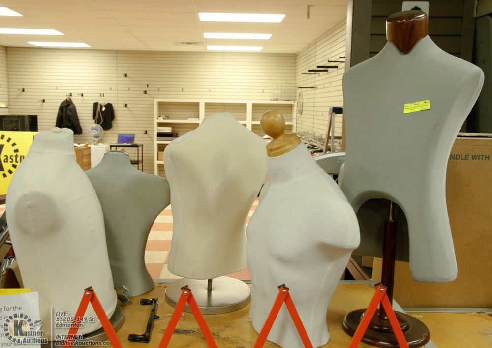 GROUP OF 5 DISPLAY BUSTS MALE AND FEMALE!!