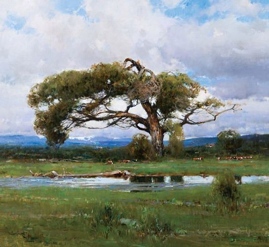 Afsary, Cyrus - Arizona Green Desert