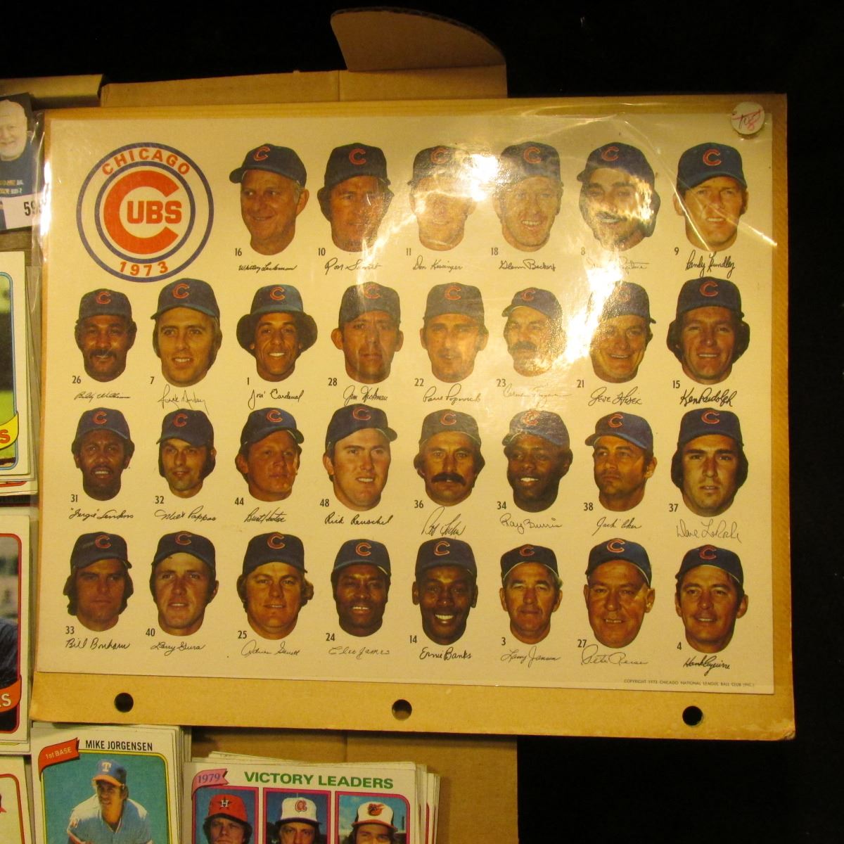 1973 Chicago Cubs Team Photo with signatures; & 14" Card Stock Box full ...