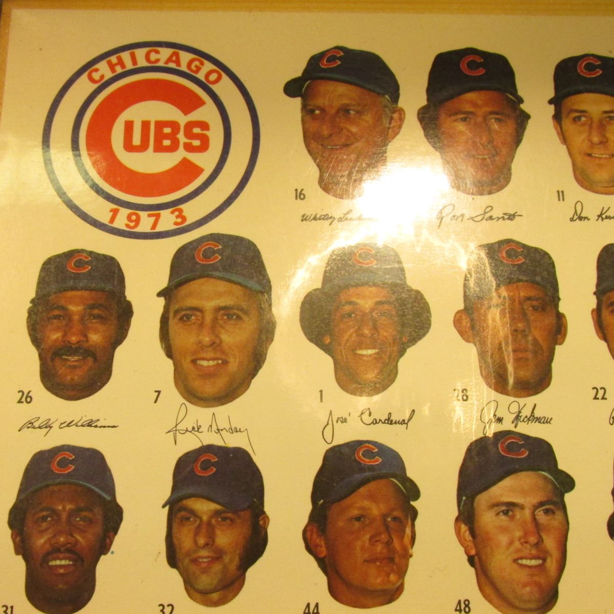1973 Chicago Cubs Team Photo with signatures; & 14" Card Stock Box full ...