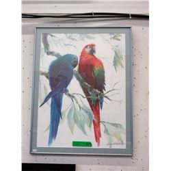 Richard B. Williams Artist Proof Print of Parrots
