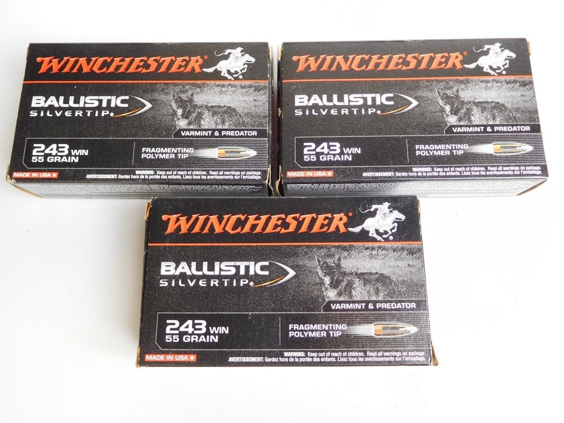 WINCHESTER FACTORY 243 WIN 55 GR BALLISTIC SILVERTIP AMMO WINCHESTER FACTORY 243 WIN 55 GR BALLISTIC SILVERTIP AMMO